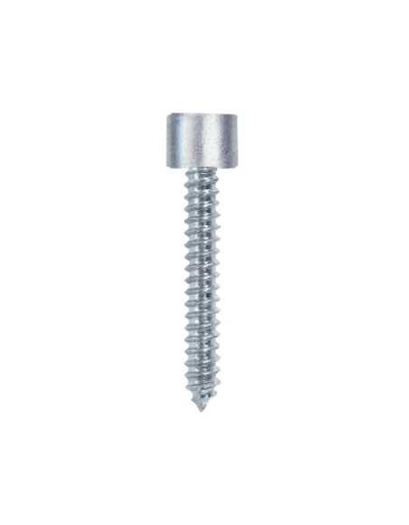 Vita testa cilindrica con esagono incassato TCEI autofilettante per ...